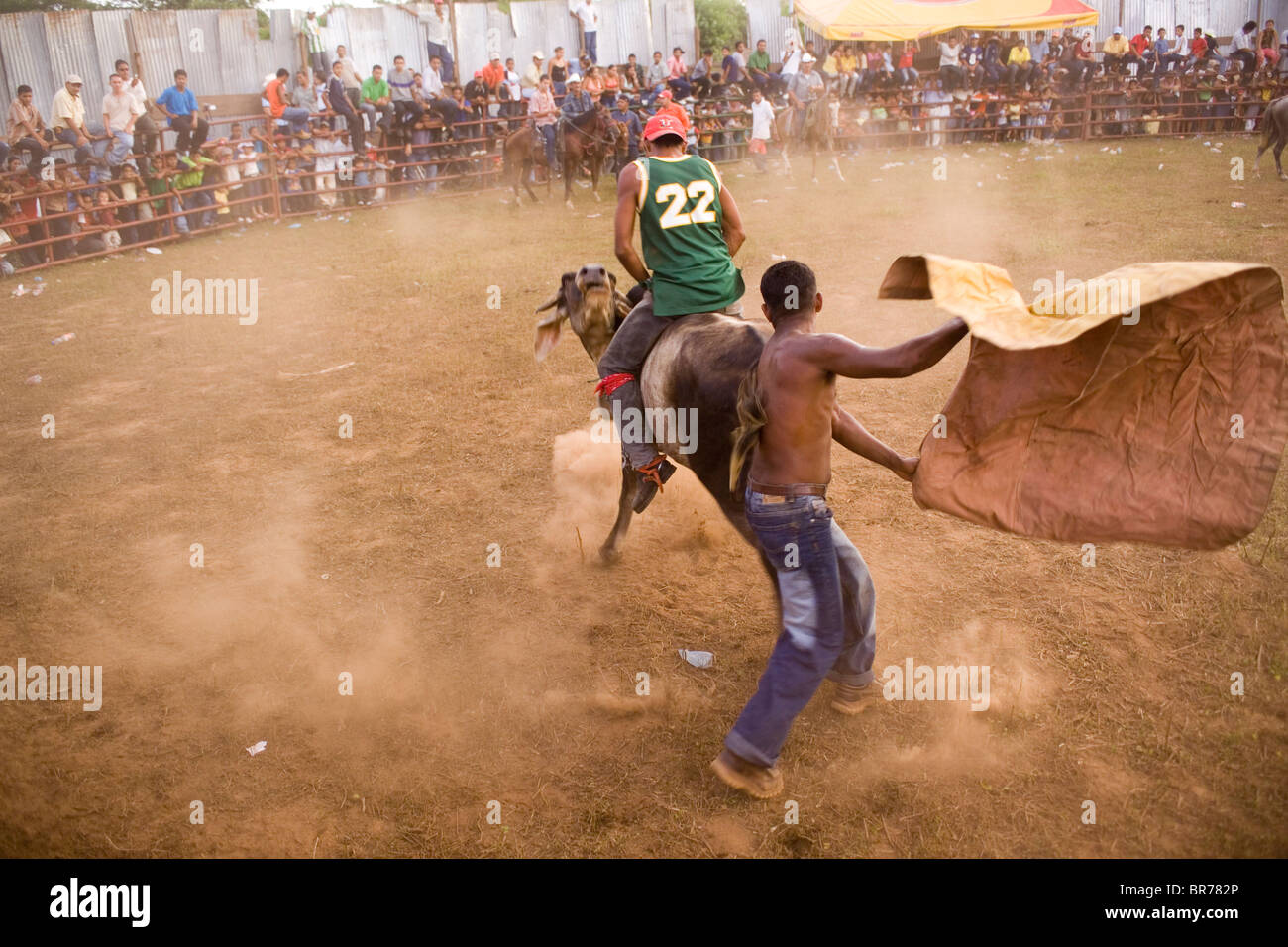 An audience member rides an angry bull while another tempts it with a ...