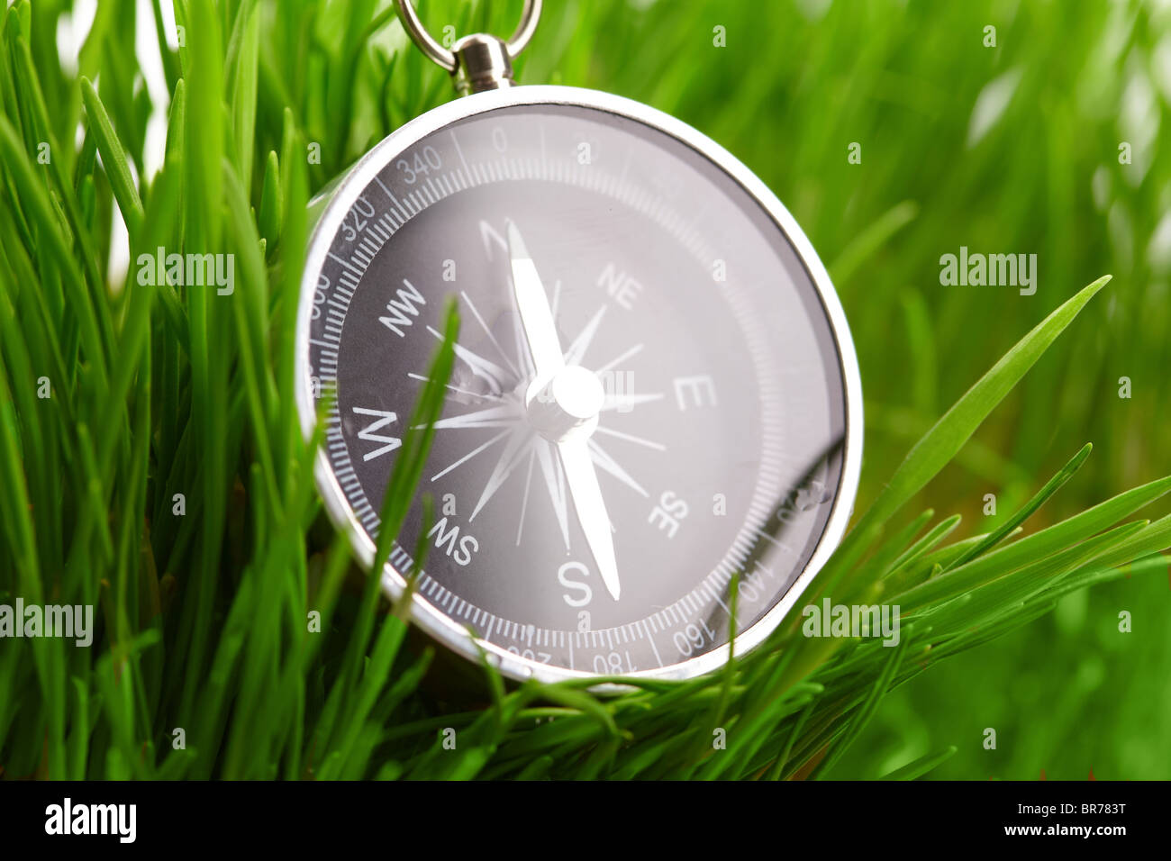 compass in green grass Stock Photo - Alamy