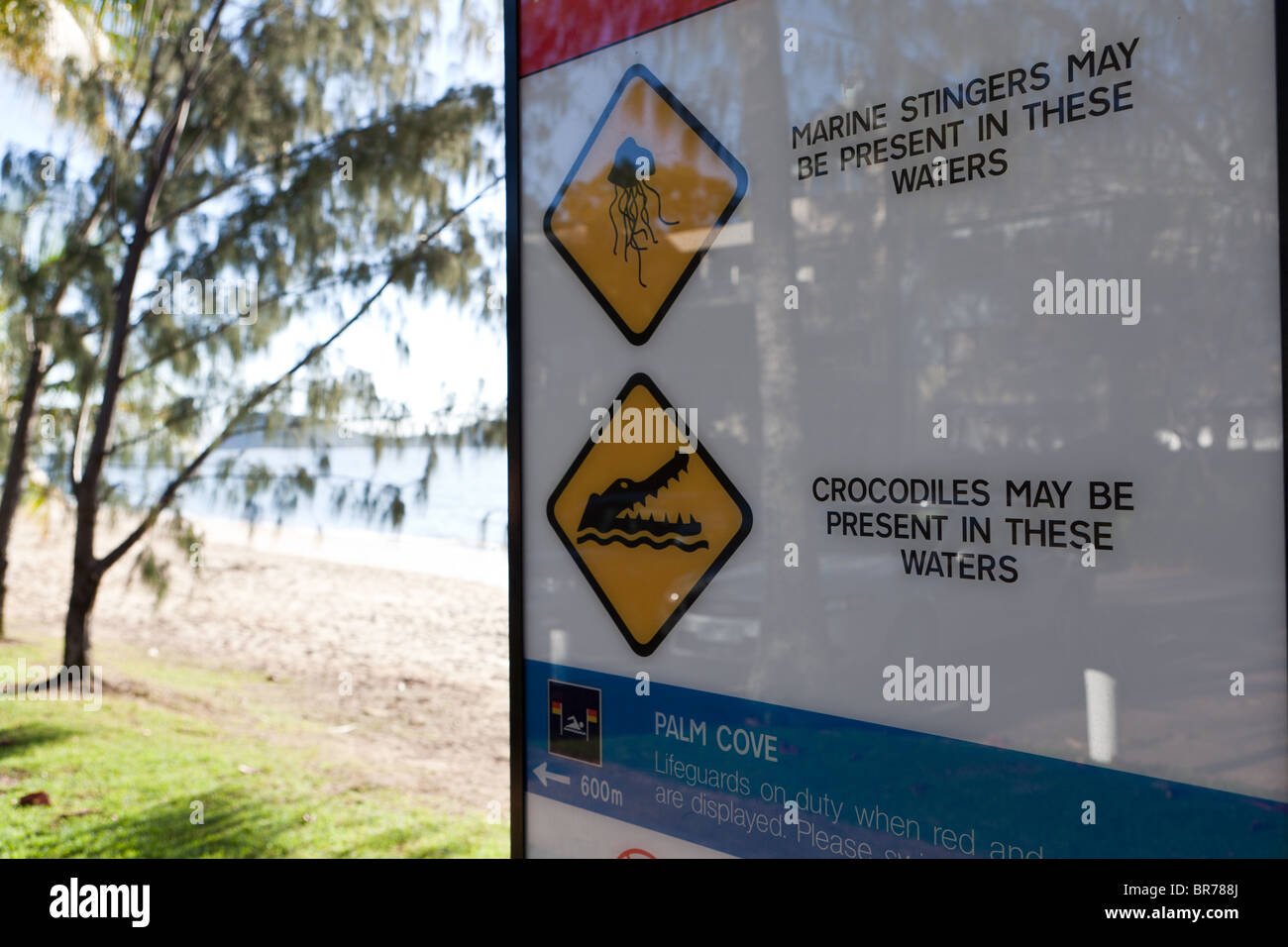 Crocodile and jellyfish warning sign at Palm Cove, Queensland Stock ...