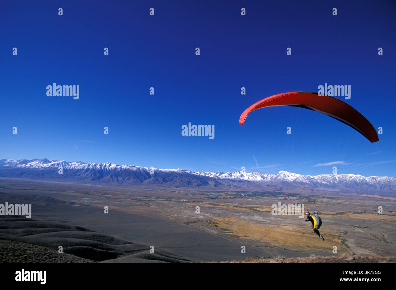 Paraglider flying in Owens Valley California Stock Photo - Alamy