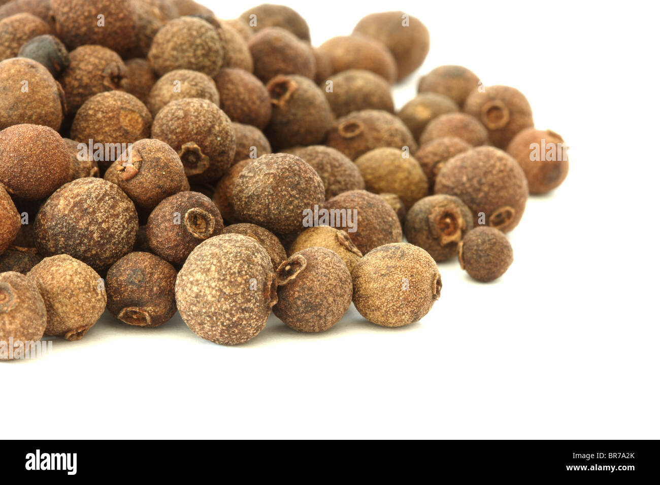 Scattered allspice - pimento spice on white background - macro view ...