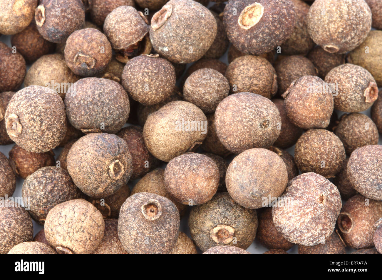 Closeup pimento seeds hi-res stock photography and images - Alamy