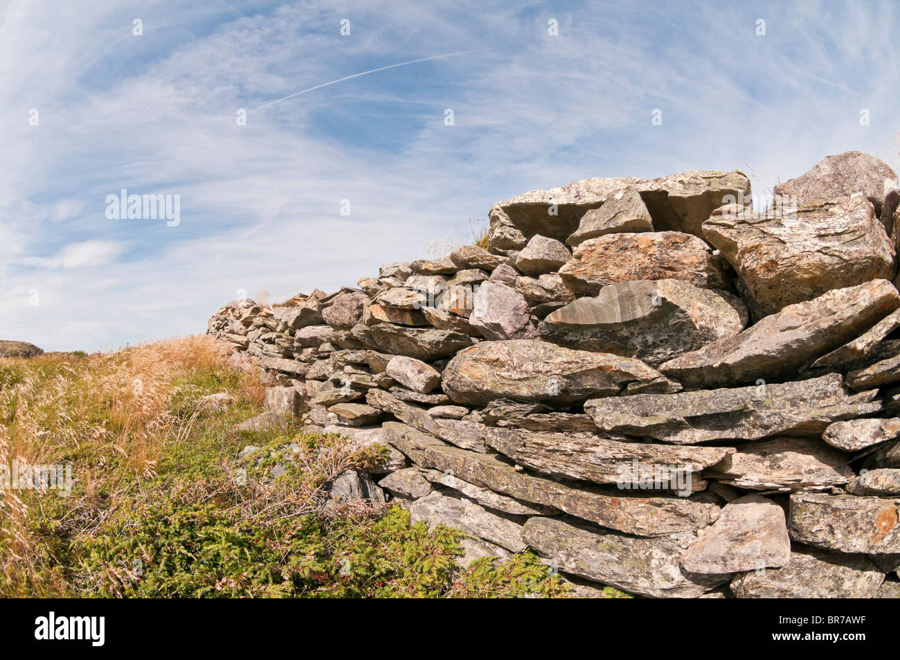Historic stone walls, Grates Cove Rock Walls National Historic Site ...
