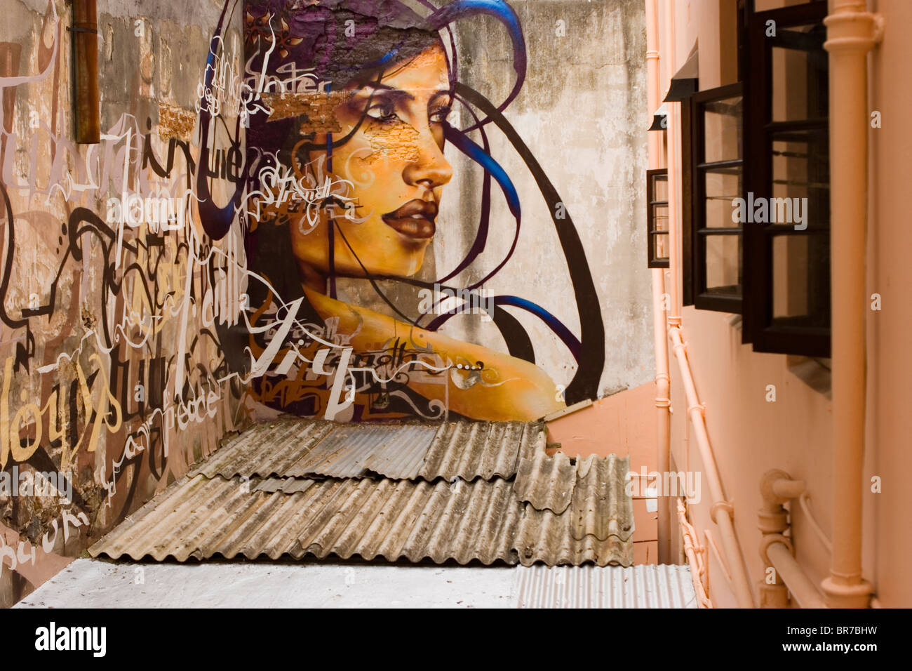 A view of graffiti of a women over a tin roof from the Daddy Long Leg ...