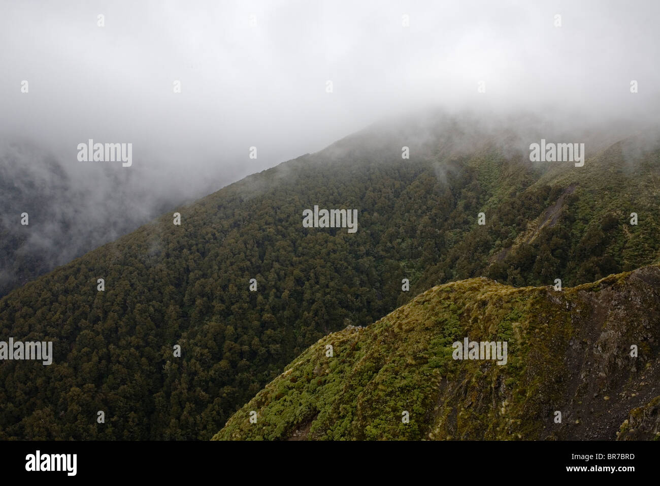 Looking south from Jumbo hut, the eastern side of Mount Jumbo and Mount ...