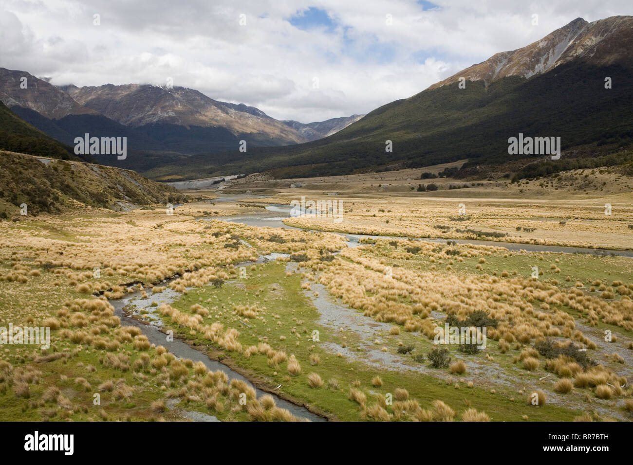 Greenstone new zealand hi-res stock photography and images - Alamy