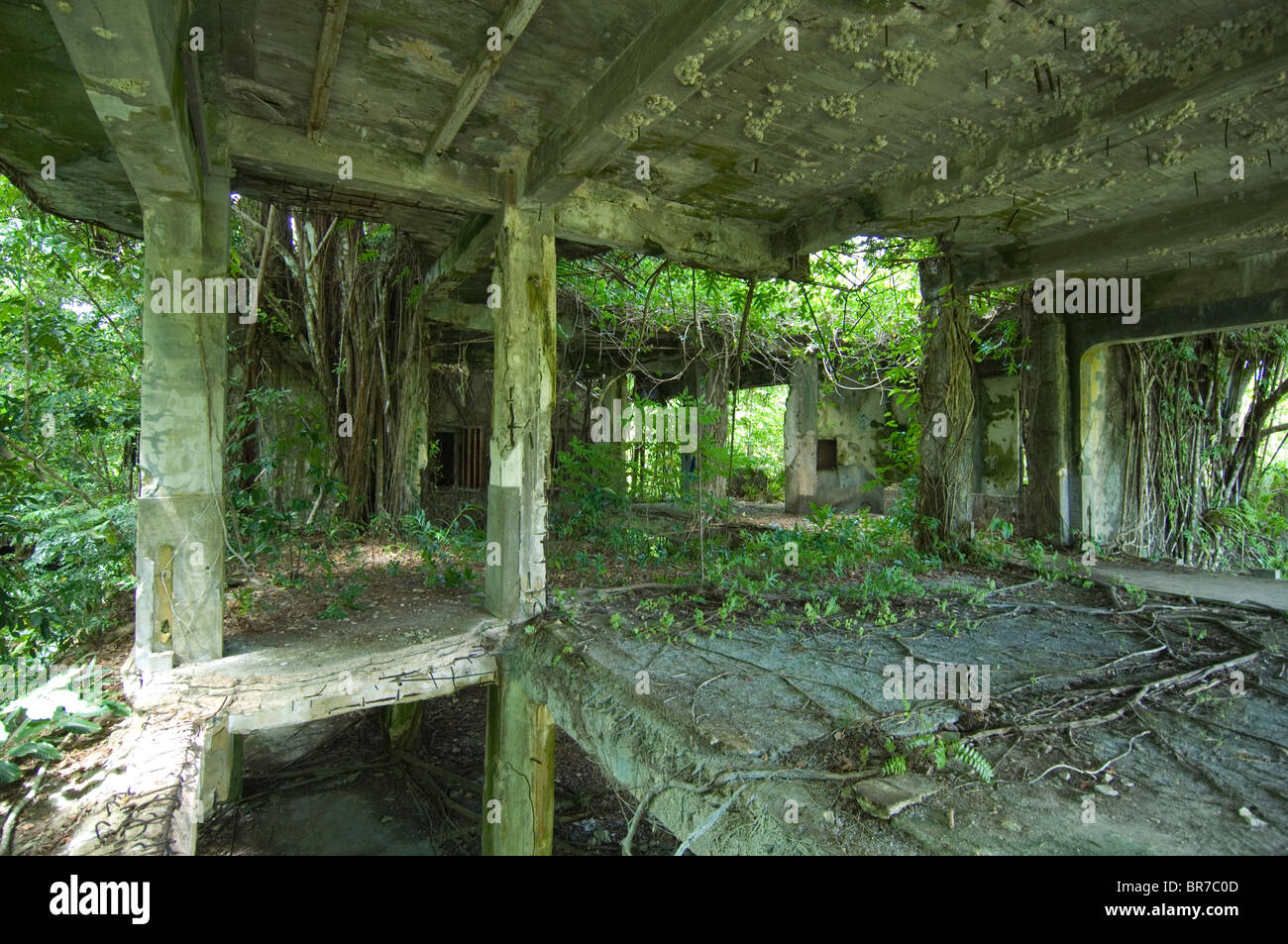 World War II Japanese airforce command center Peleliu Palau Stock Photo ...