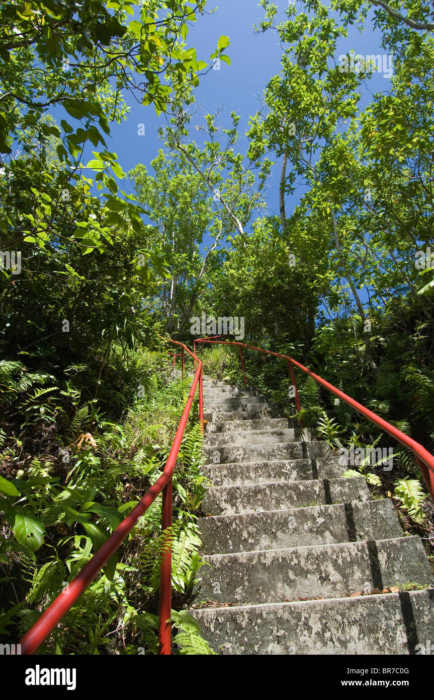 Ridge nose hi-res stock photography and images - Alamy