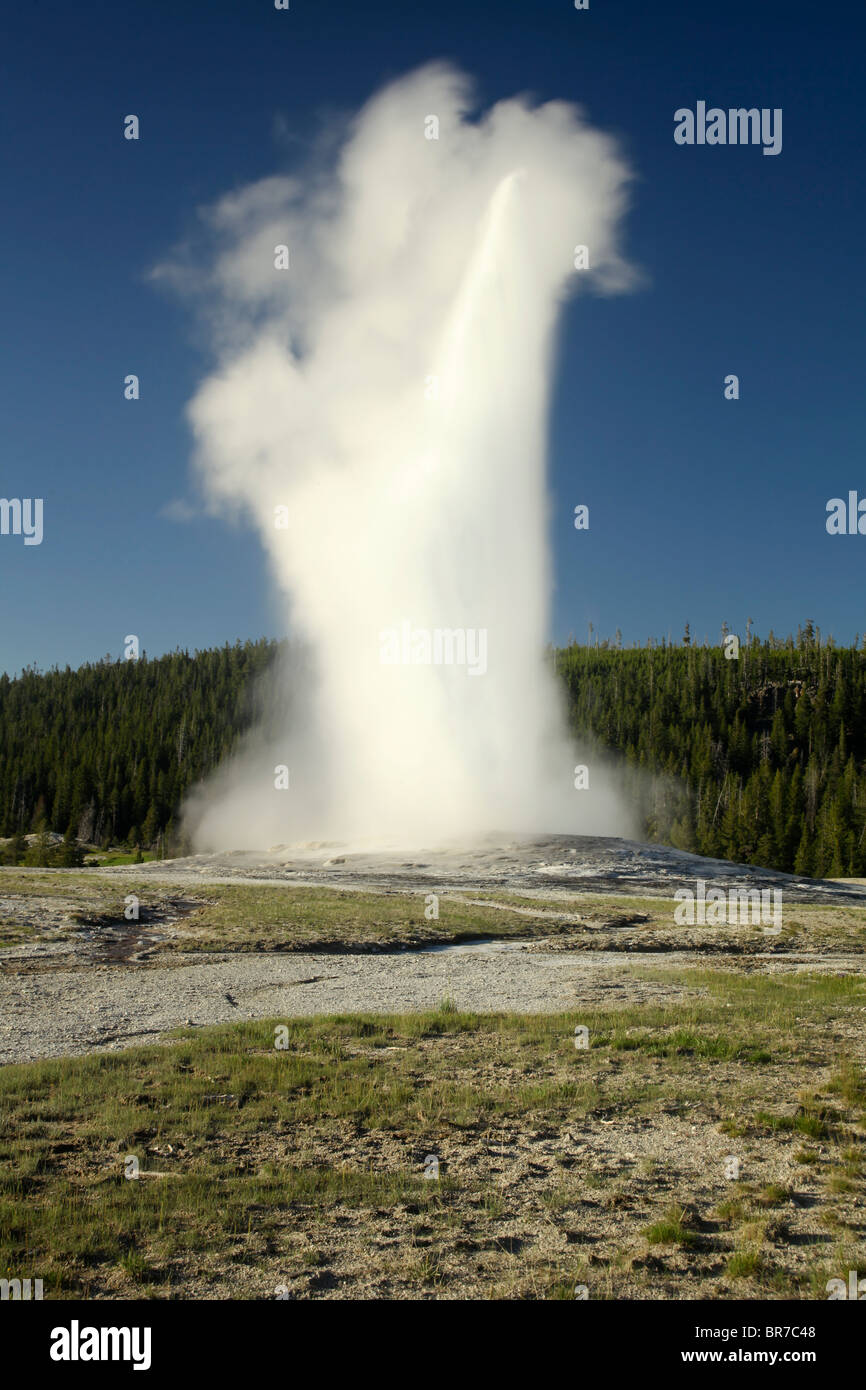 Old Faithful geyser Stock Photo - Alamy