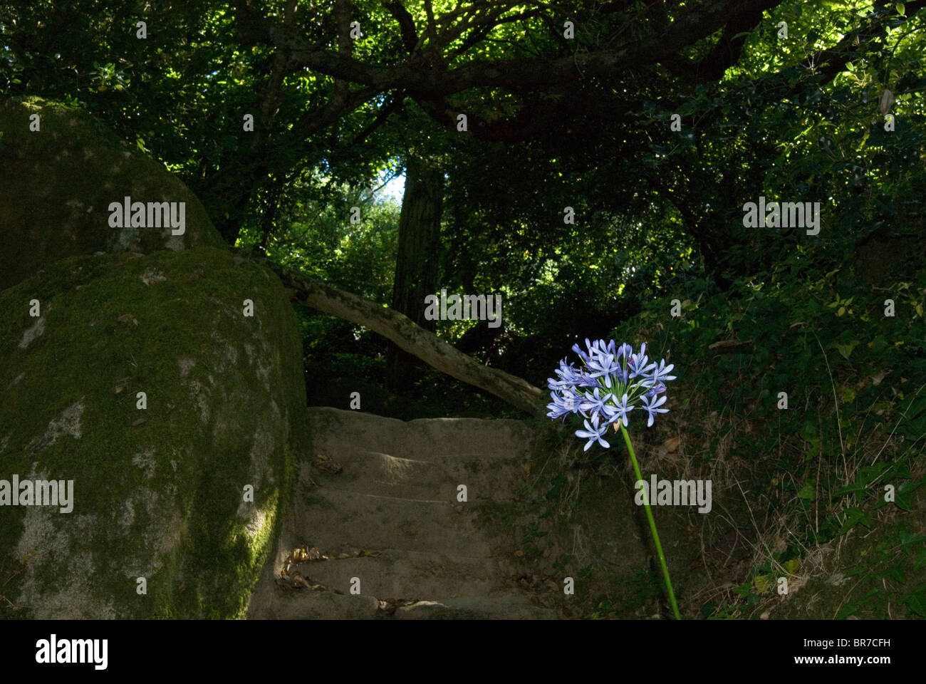 Convento dos Capuchos monastery in Sintra, Portugal Stock Photo - Alamy