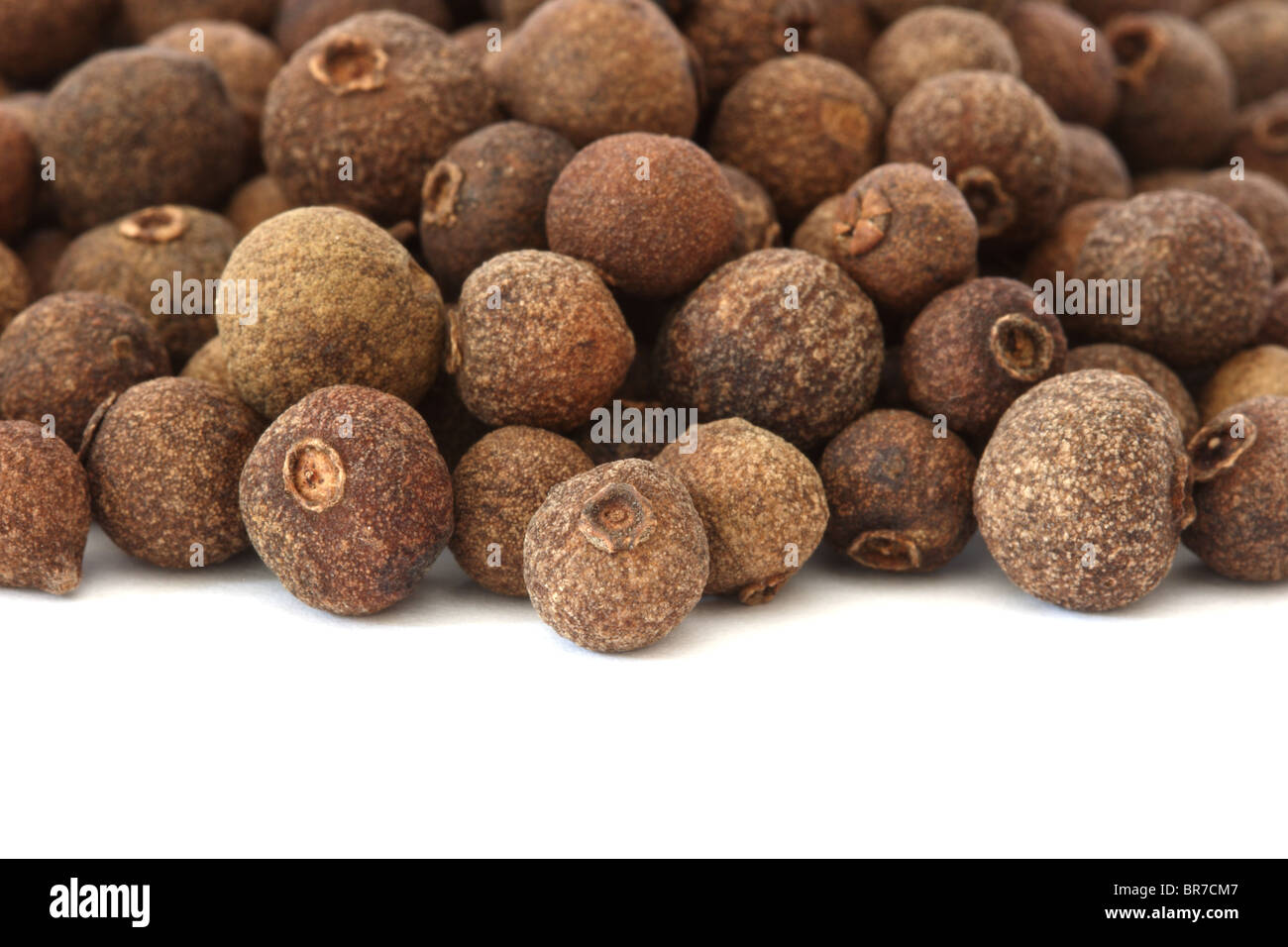 Scattered allspice - pimento spice on white background - macro view ...