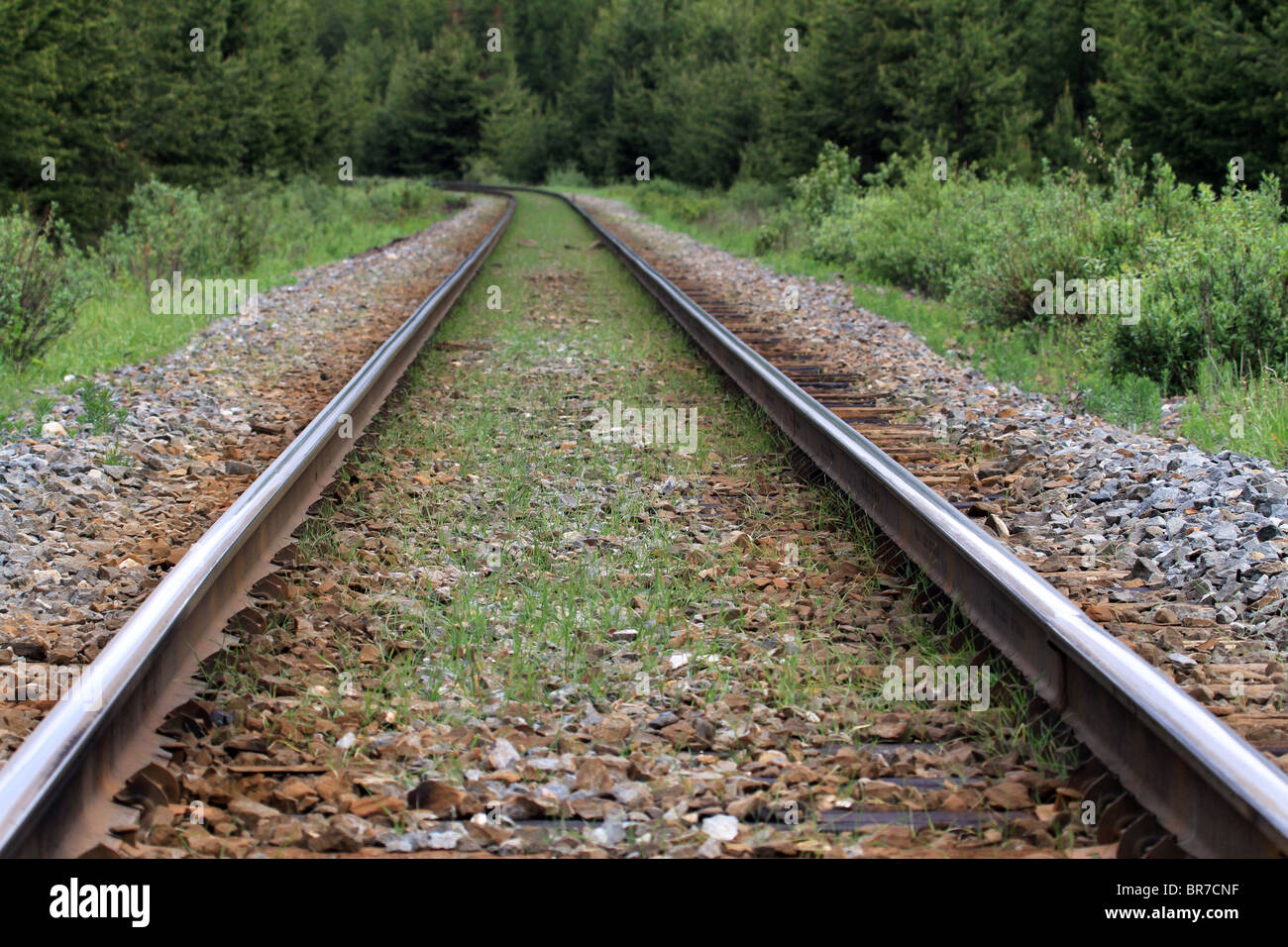 Railroad tracks leading into high mountain forest in British Columbia ...