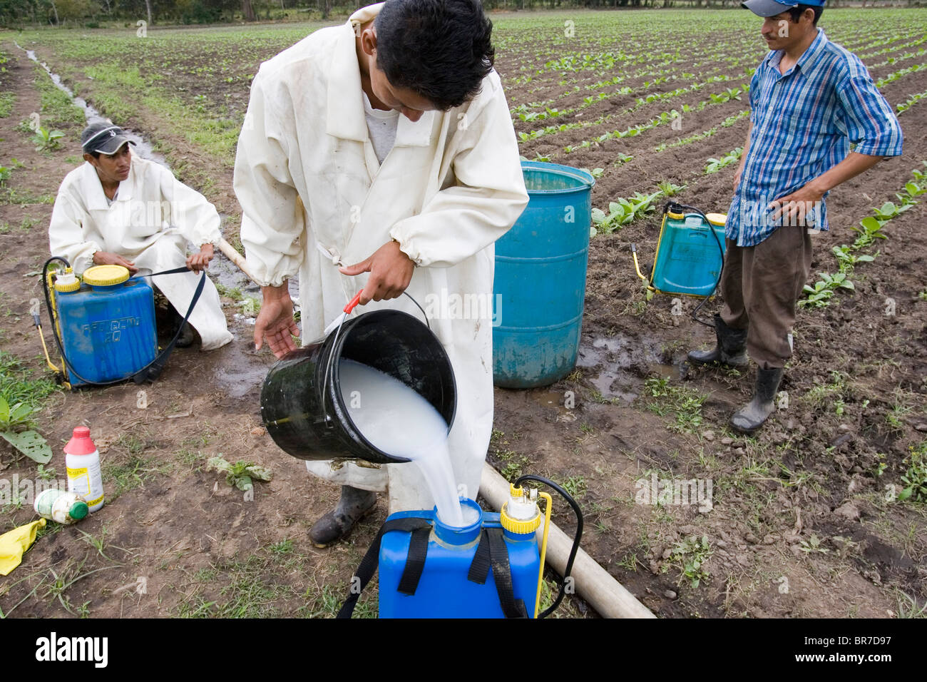 Worker spraying chemical on hi-res stock photography and images - Alamy