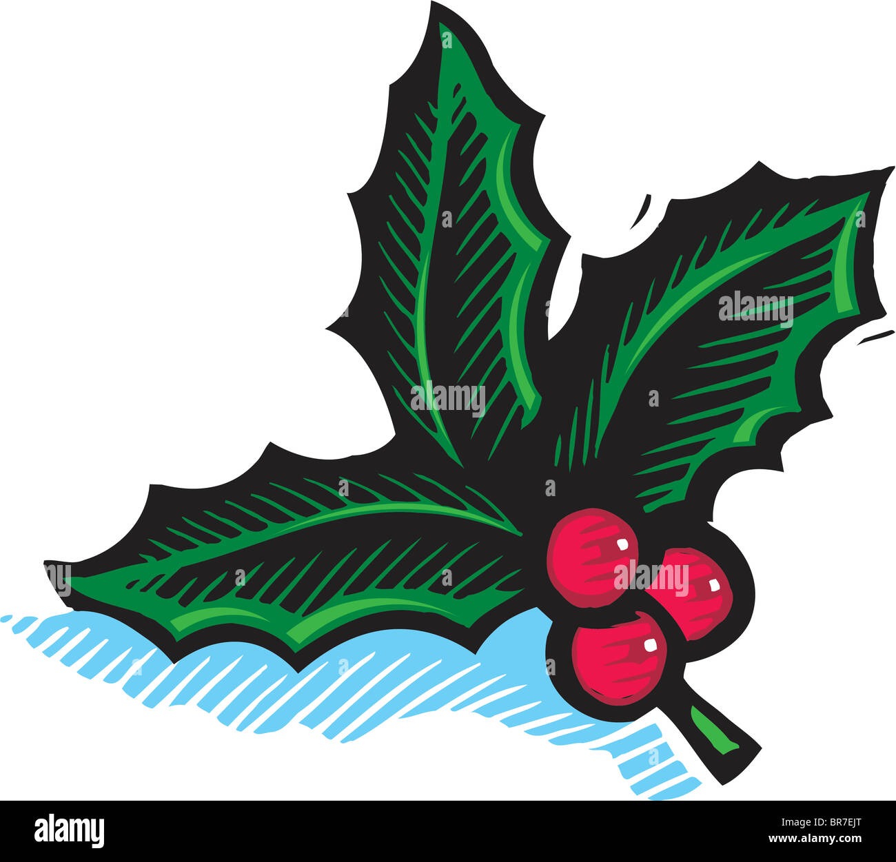 Drawing holly hi-res stock photography and images - Alamy