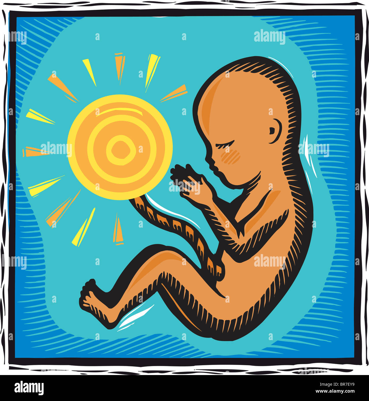Fetus in utero hi-res stock photography and images - Alamy