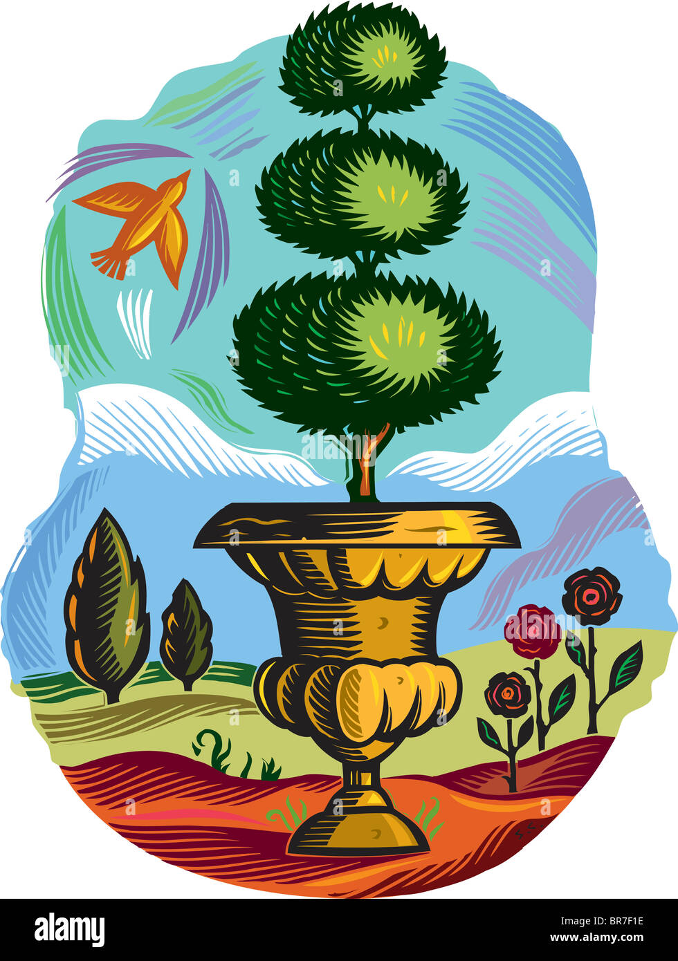 Plant illustrations drawing garden hi-res stock photography and images ...