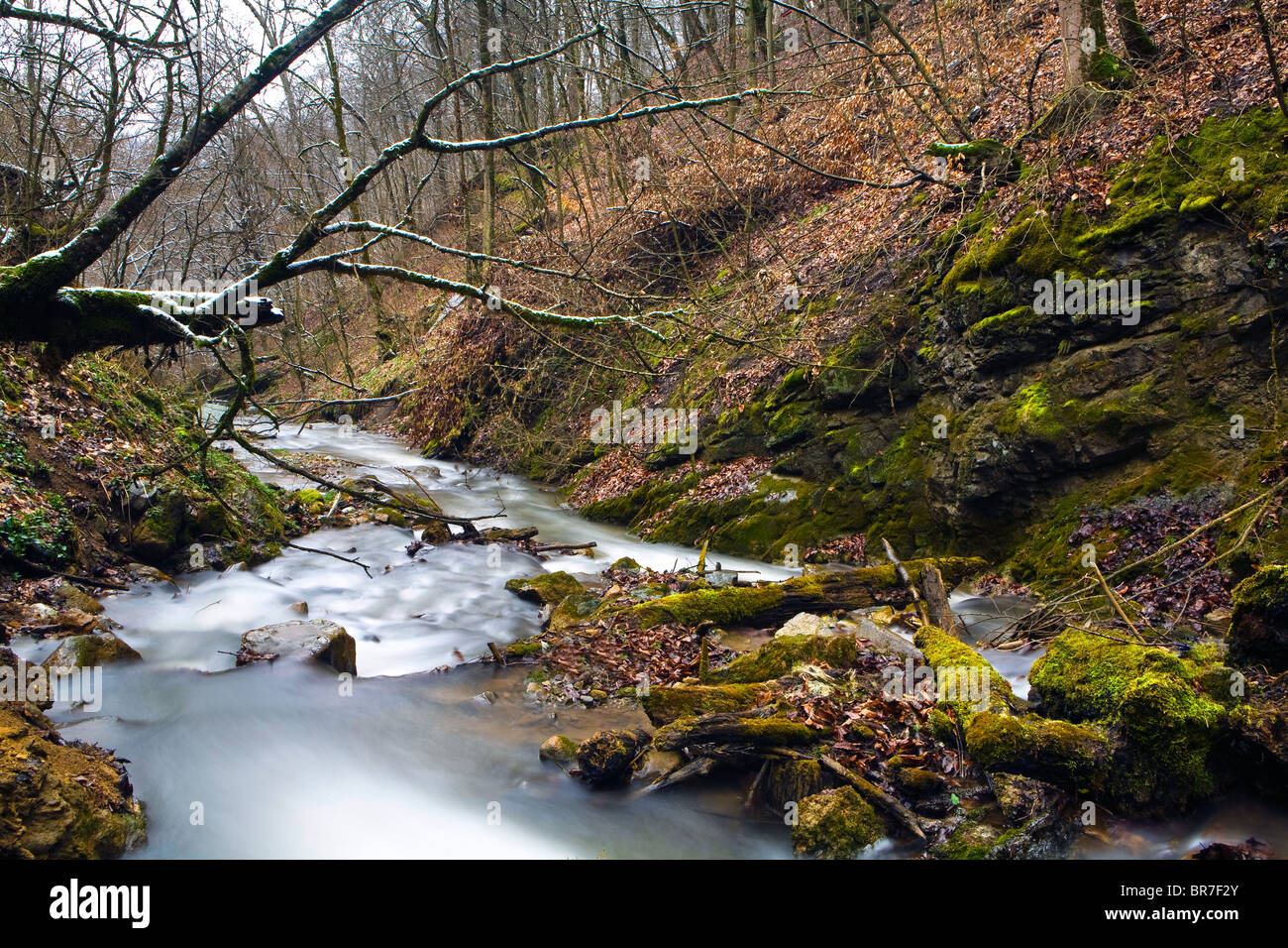 river in autumn forest Stock Photo - Alamy
