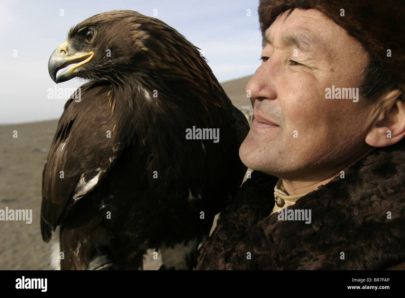 Hunting with eagles hi-res stock photography and images - Alamy