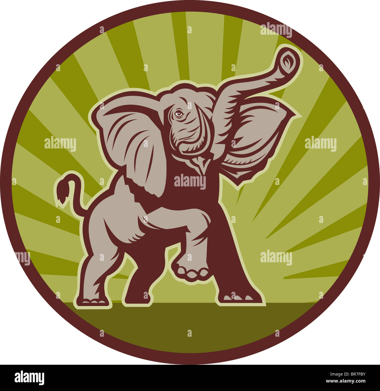 Charging elephant illustration hi-res stock photography and images - Alamy