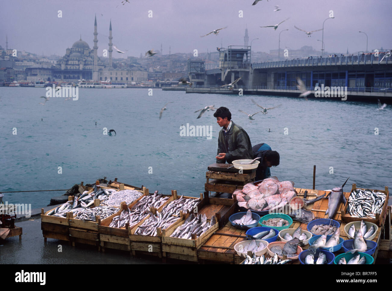 Istanbul Fish Market Stock Photo - Alamy