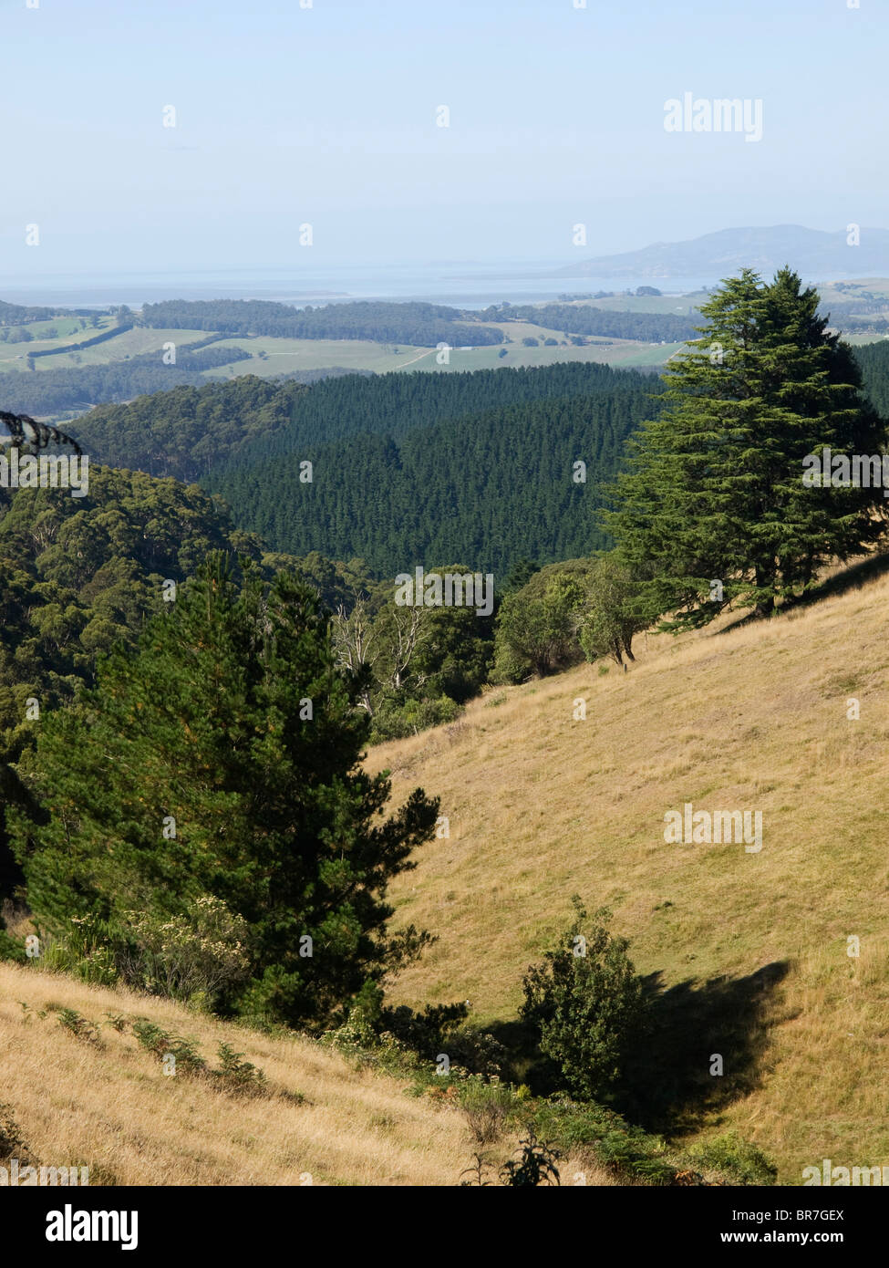 Hilly farmland victoria australia hi-res stock photography and images ...
