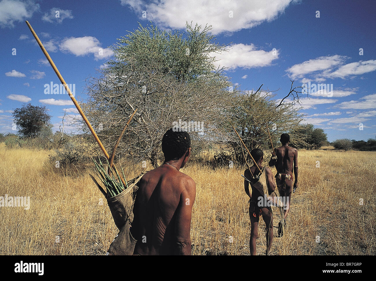 Bushmen are on hunting trip Kalahari Namibia Stock Photo - Alamy