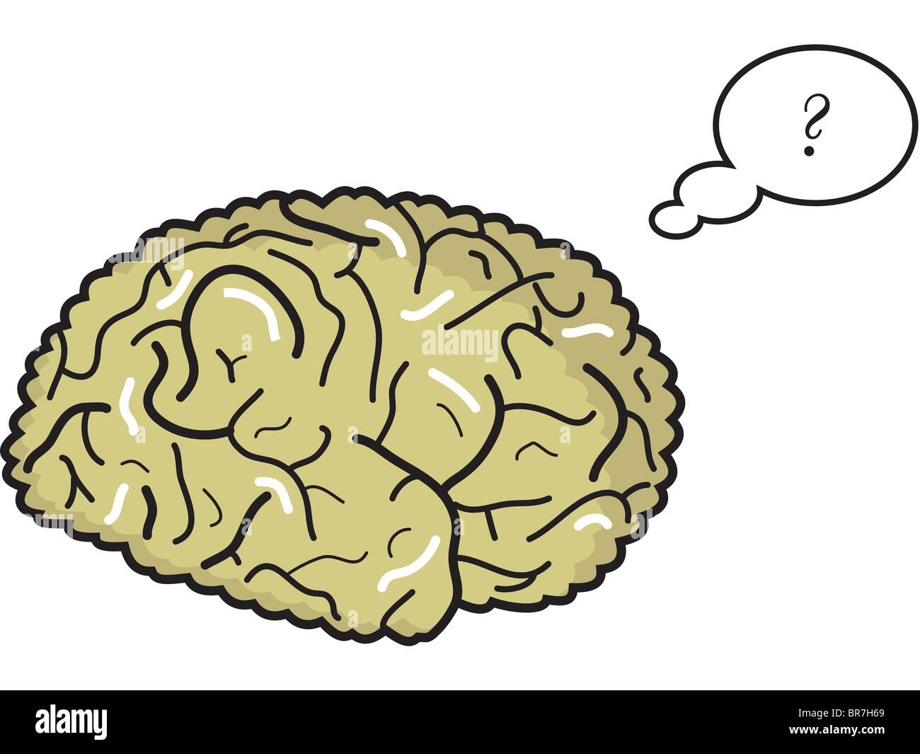 An illustration of a thinking brain on a white background Stock Photo ...