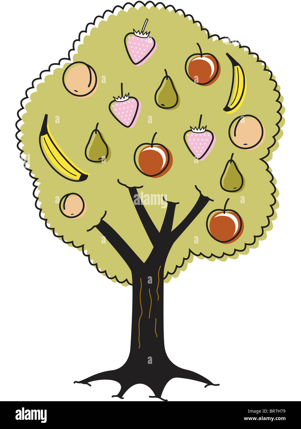 A fruit tree bearing a variety of fruits Stock Photo - Alamy