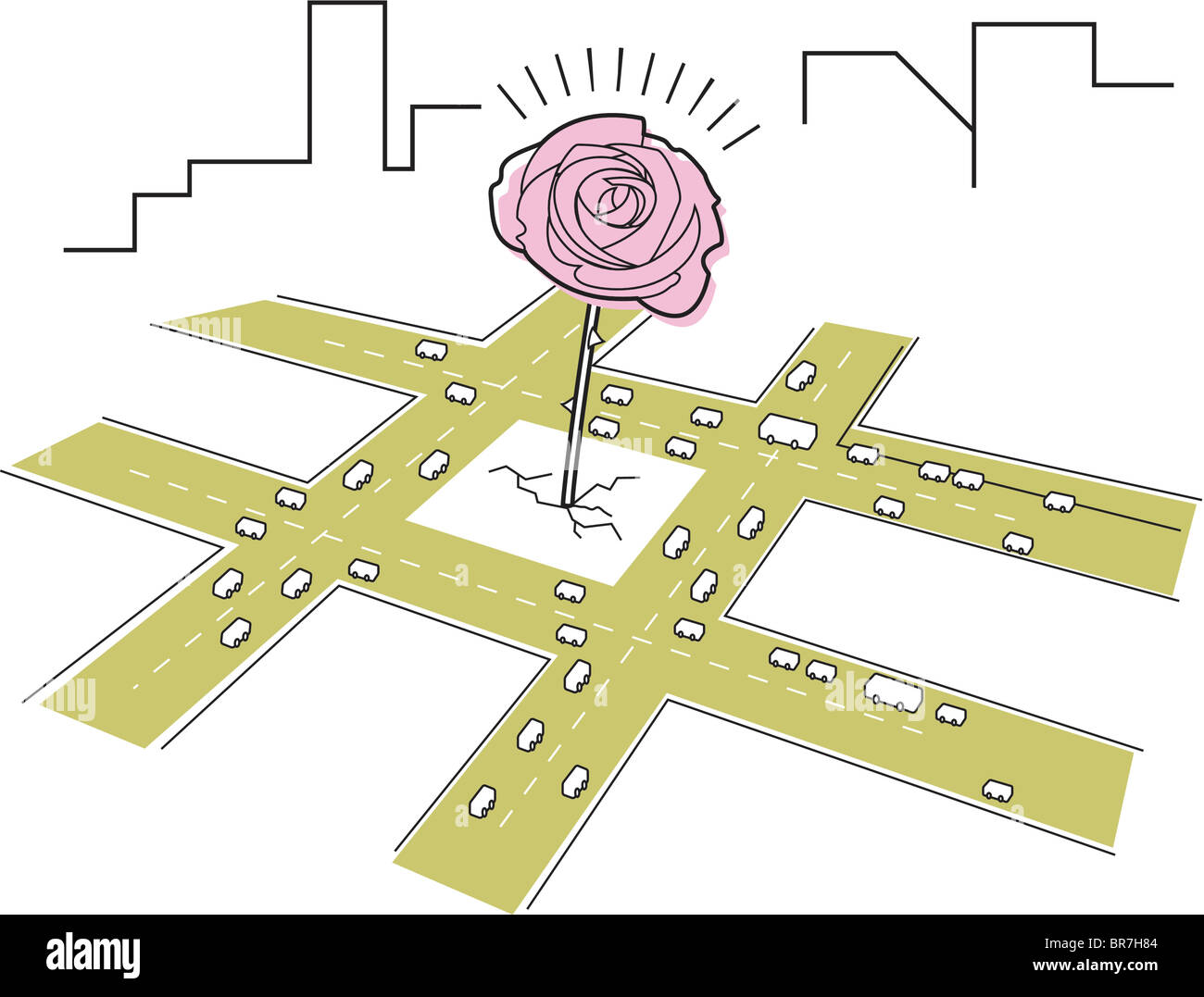 Middle of a rose hi-res stock photography and images - Alamy