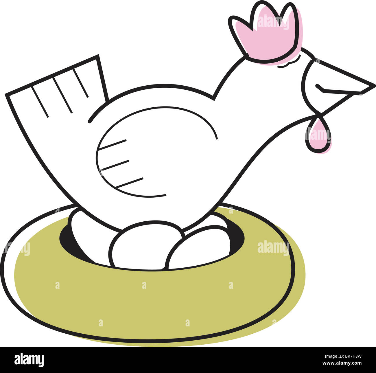 Hen sit egg hi-res stock photography and images - Alamy