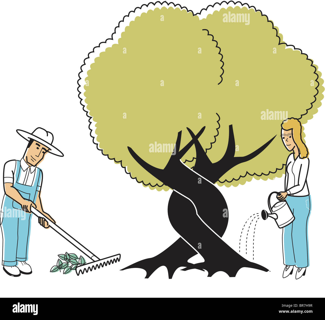 Entwined trees hi-res stock photography and images - Alamy