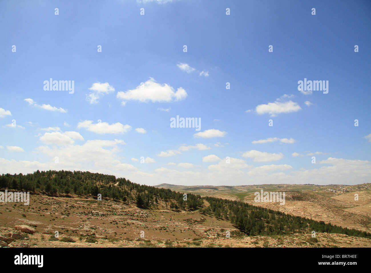 Judea, Southern Hebron Mountain, a view in the vicinity of biblical ...
