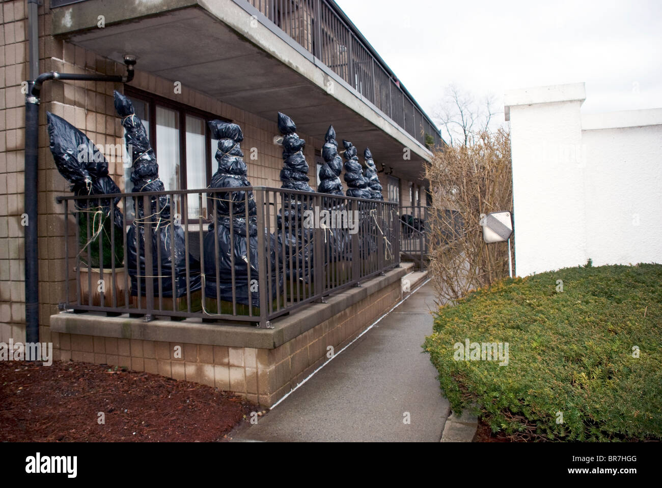 Troll like covered shrubs on balcony at apartment complex resembling ...