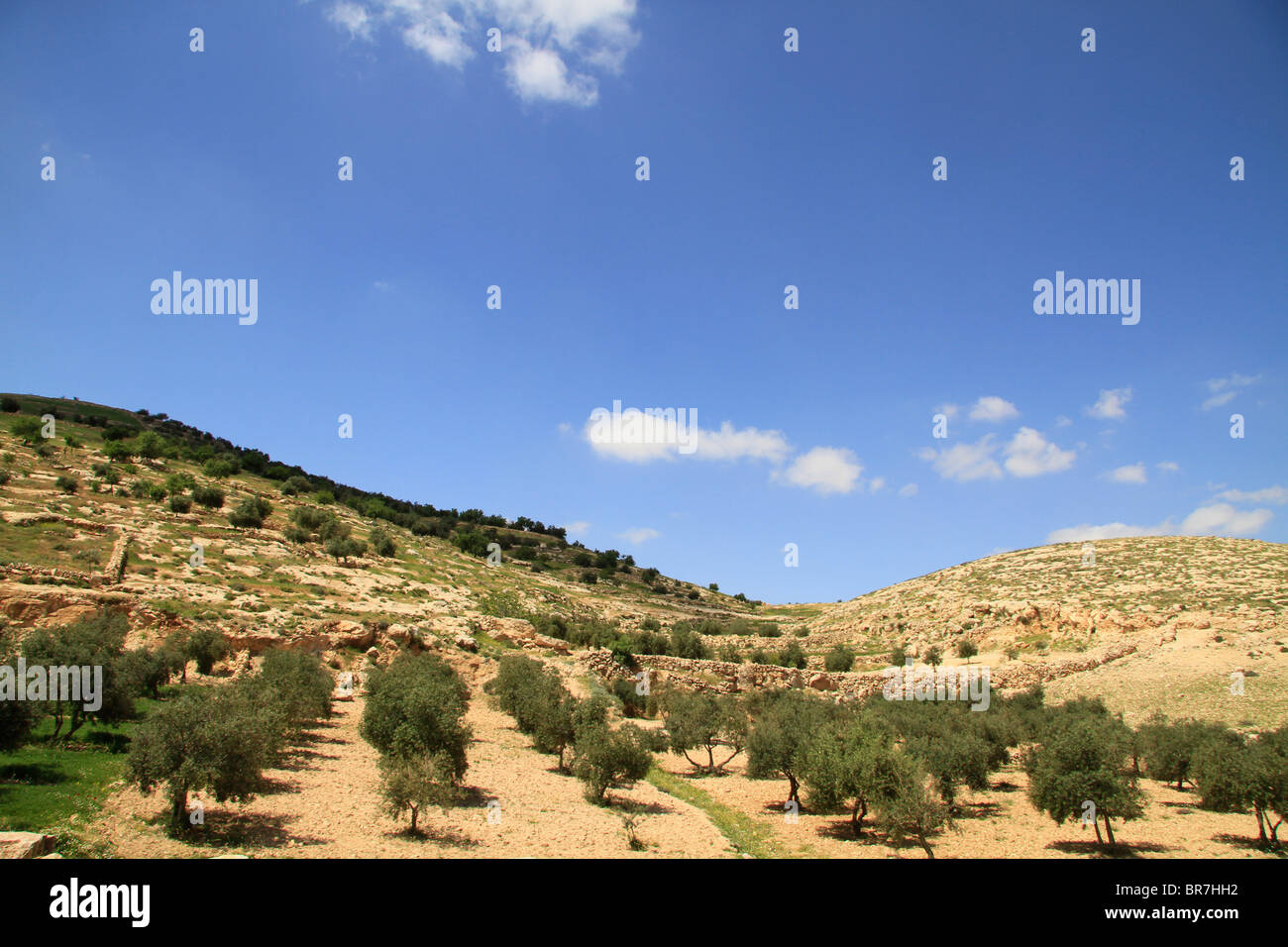 Hebron mountains hi-res stock photography and images - Alamy