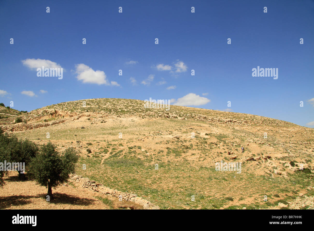 Hi404 406 hi-res stock photography and images - Alamy