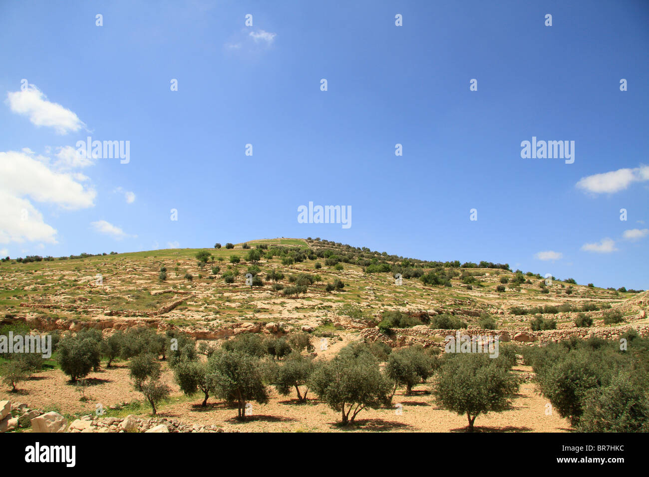 Maon hi-res stock photography and images - Alamy