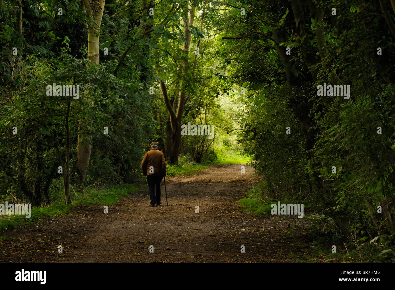 Man Walking In The Distance