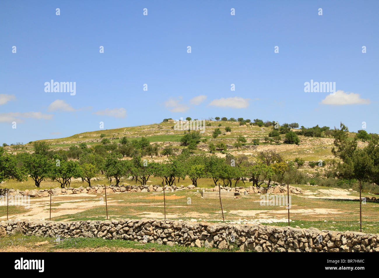 Hebron mountains hi-res stock photography and images - Alamy