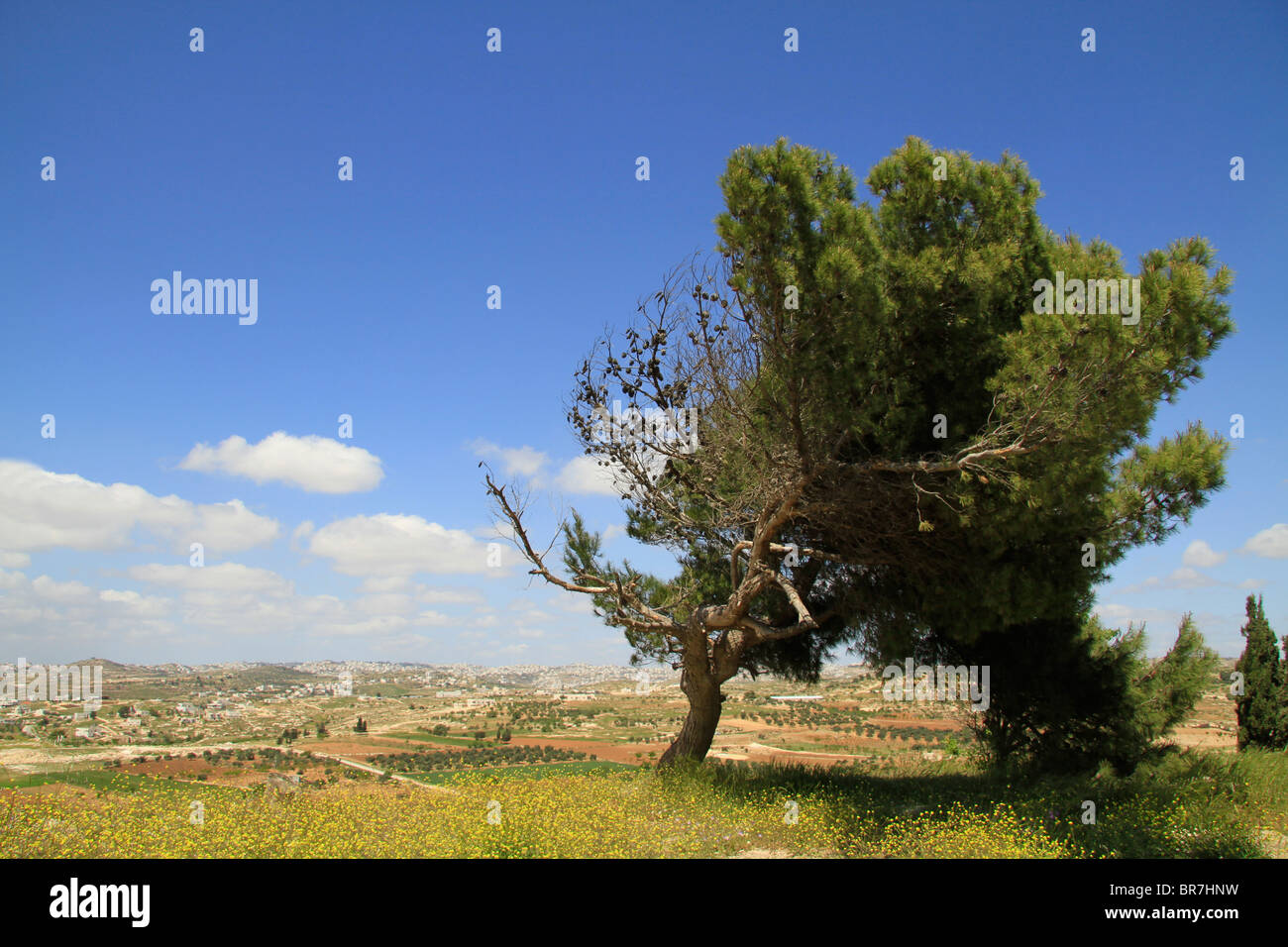 Ziph hi-res stock photography and images - Alamy