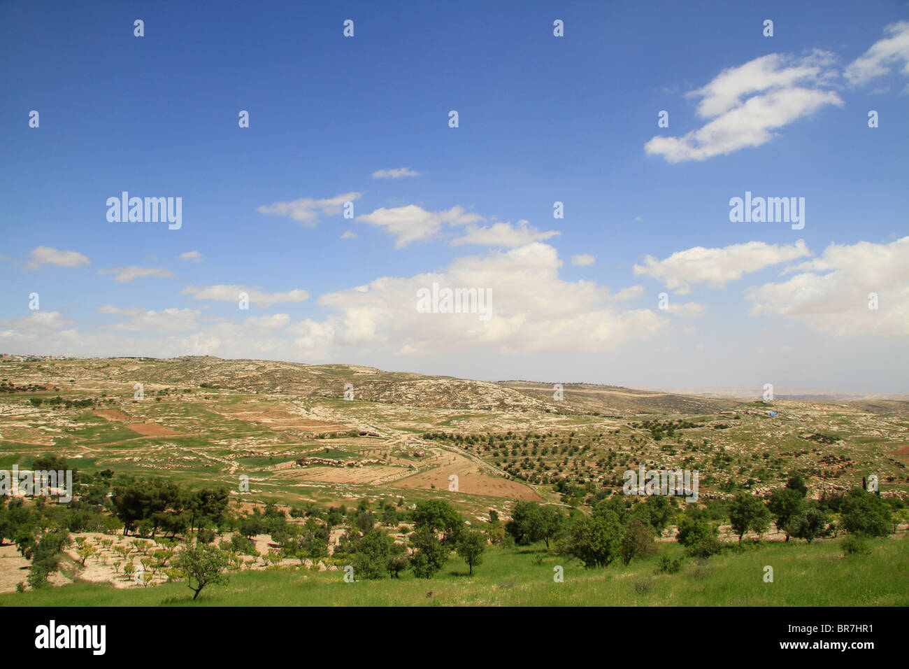 Wilderness of ziph hi-res stock photography and images - Alamy