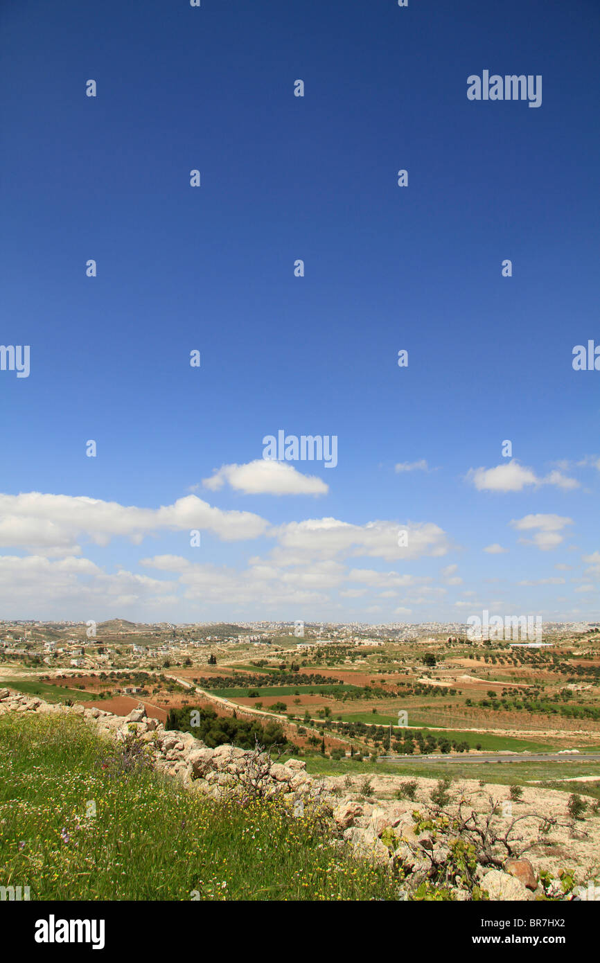 Ziph hi-res stock photography and images - Alamy