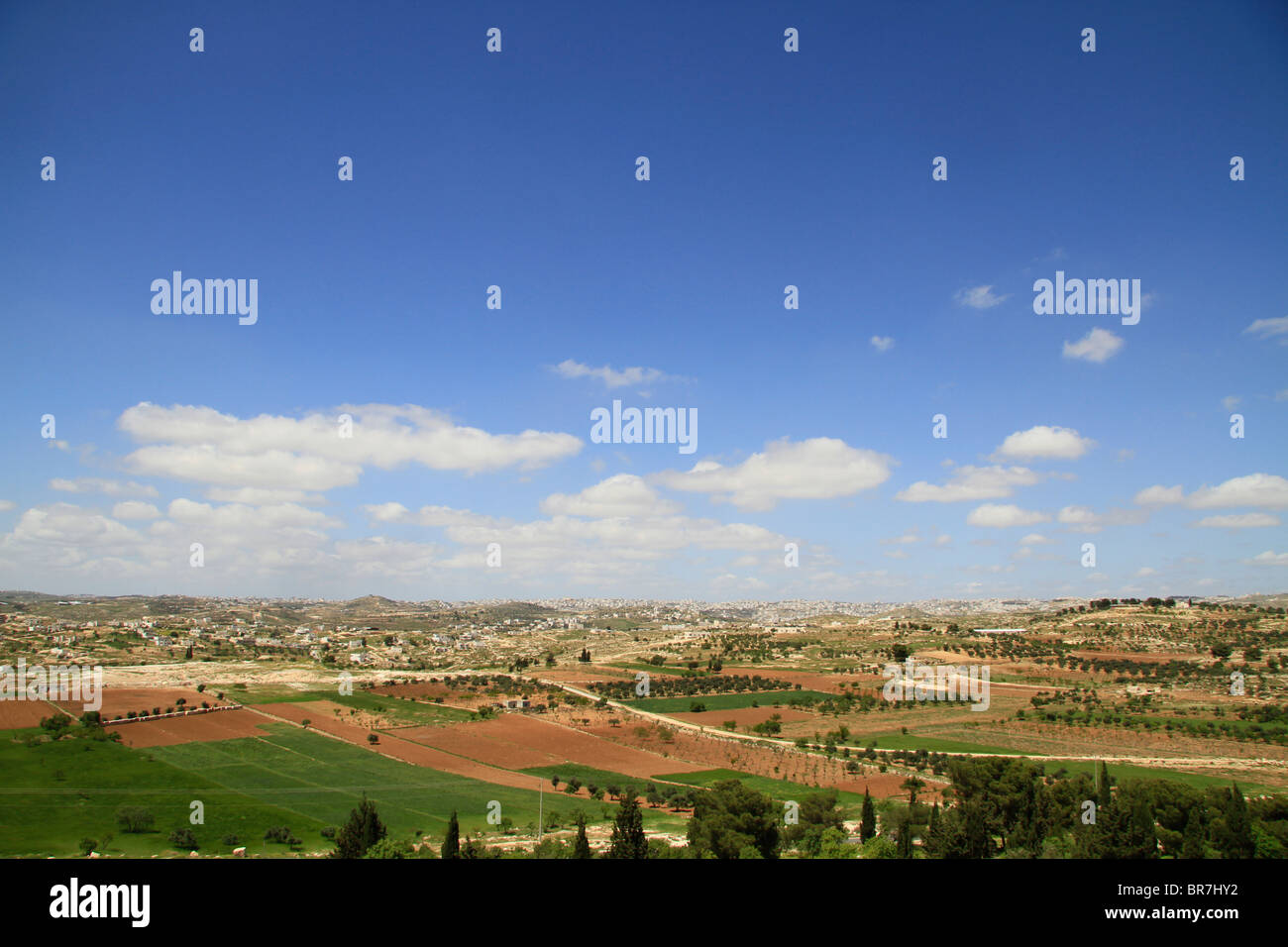 Wilderness of ziph hi-res stock photography and images - Alamy