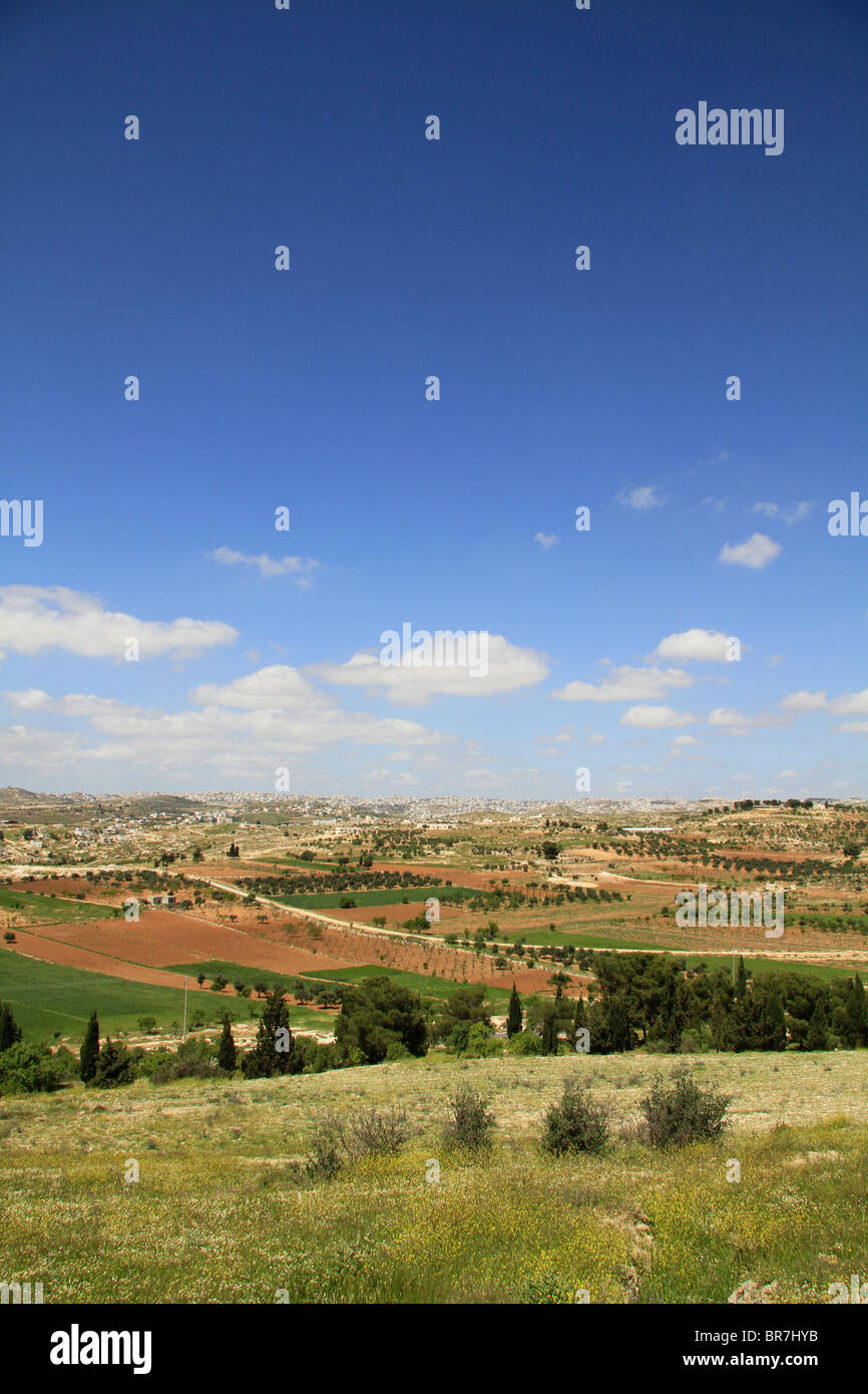 Ziph Stock Photos & Ziph Stock Images - Alamy