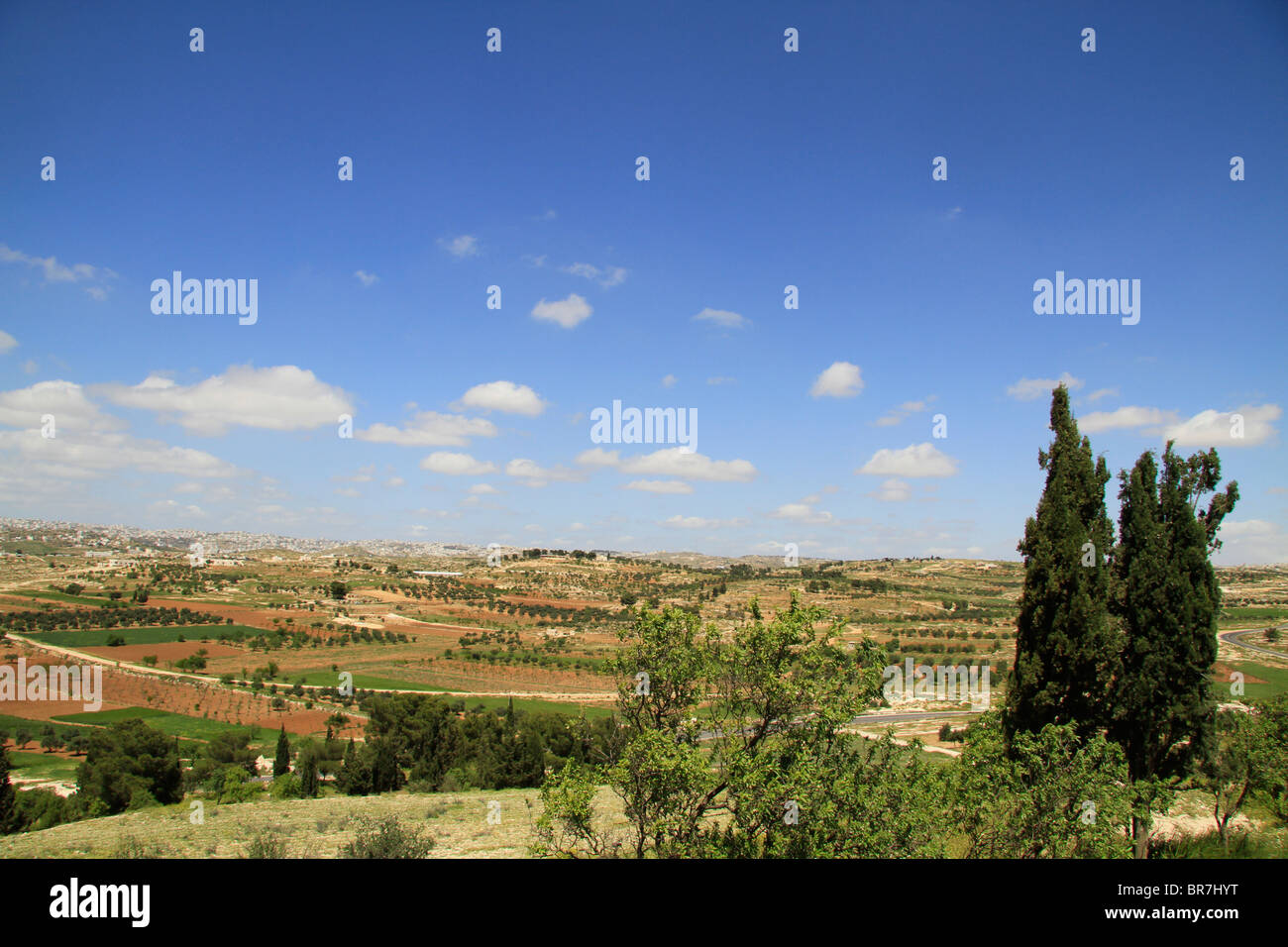 Ziph hi-res stock photography and images - Alamy