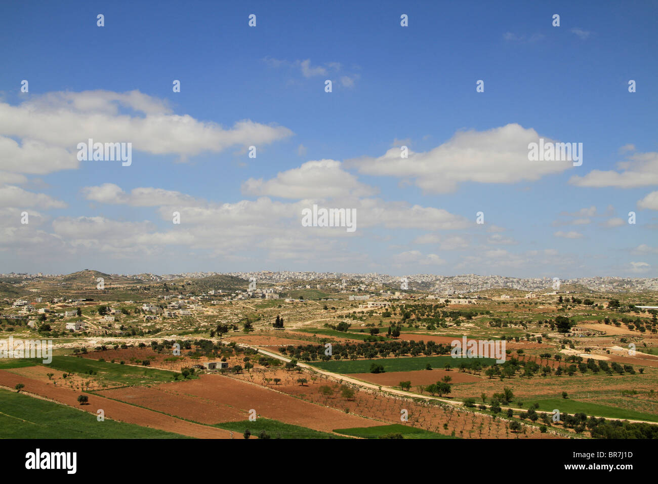 Ziph Stock Photos & Ziph Stock Images - Alamy