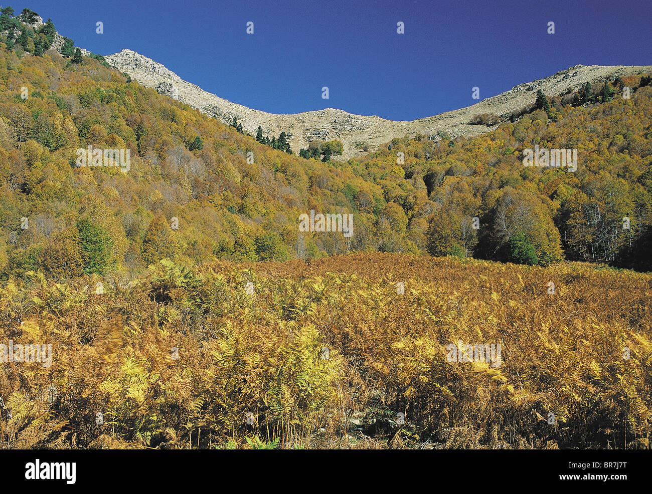 Amanos mountains hi-res stock photography and images - Alamy