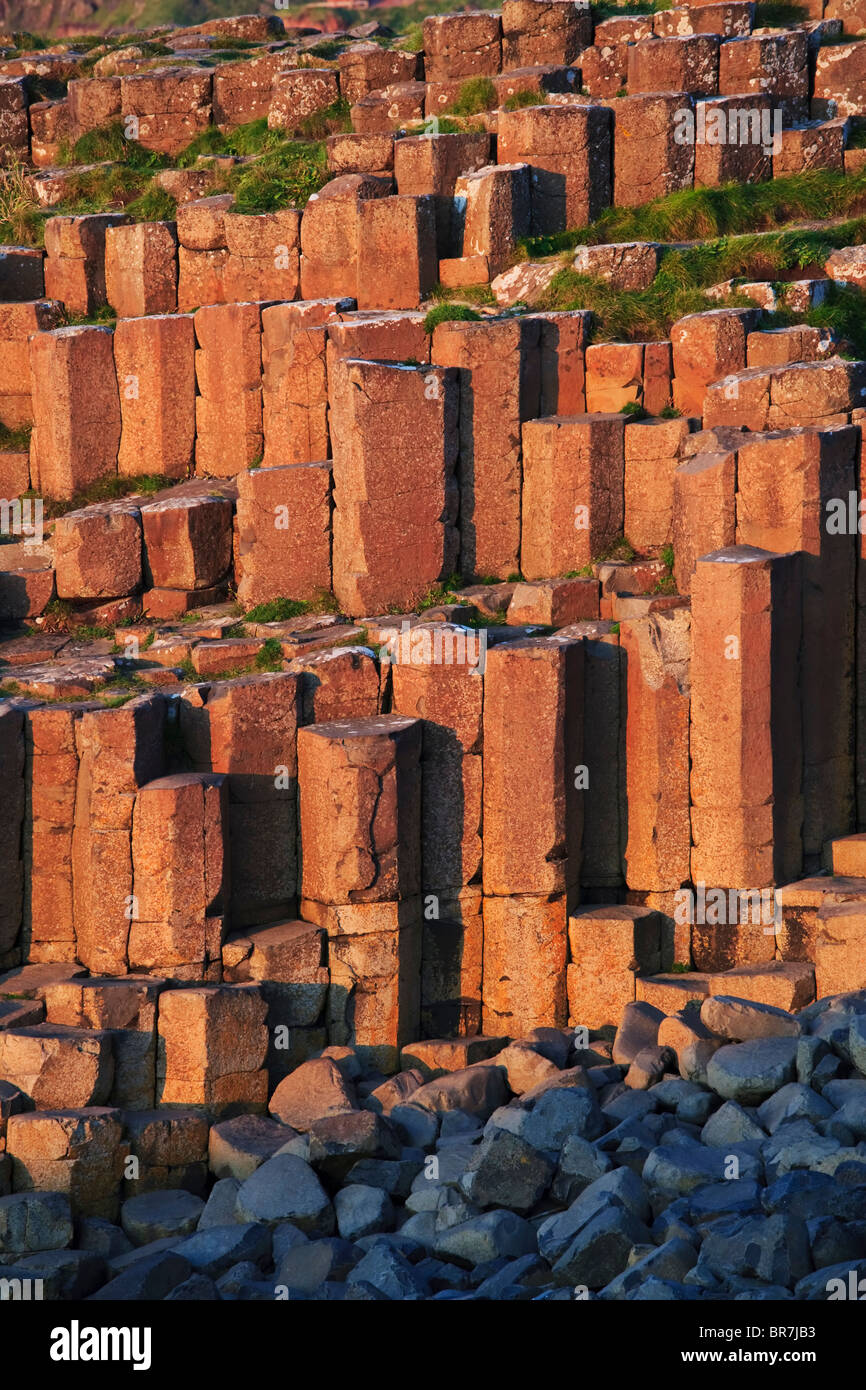 The distinctive hexagonal columns of Giant's Causeway on the north ...