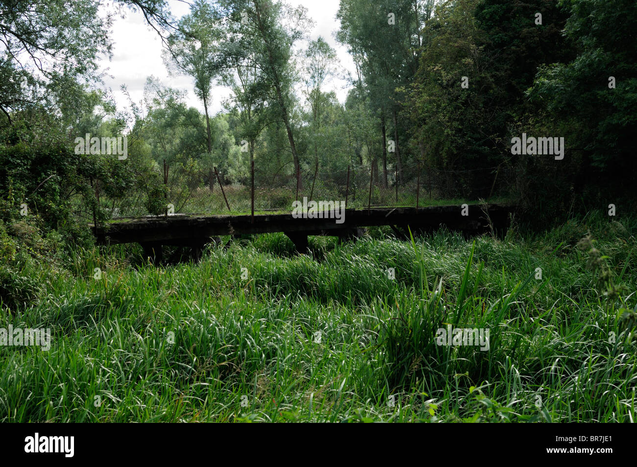 Ladies bridge hi-res stock photography and images - Alamy