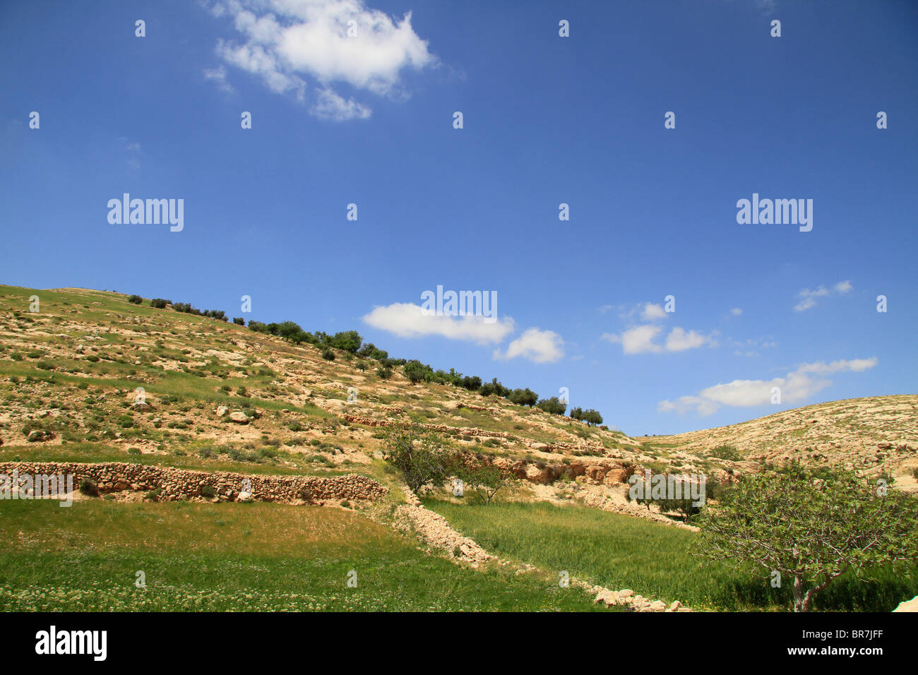 Hebron mountains hi-res stock photography and images - Alamy