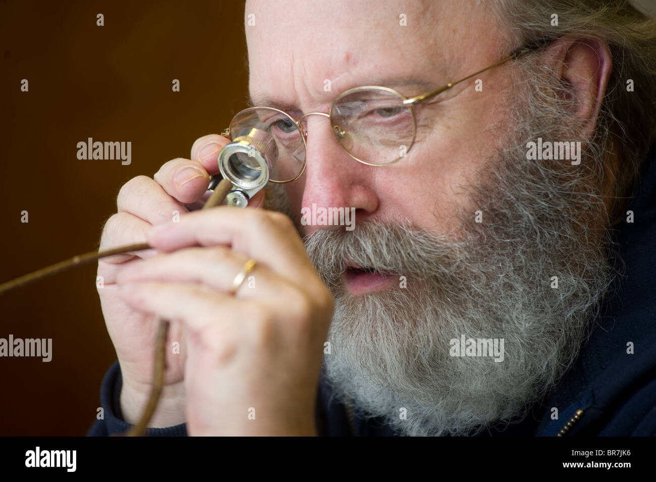 Person looking at plant stem through hand lens Stock Photo - Alamy